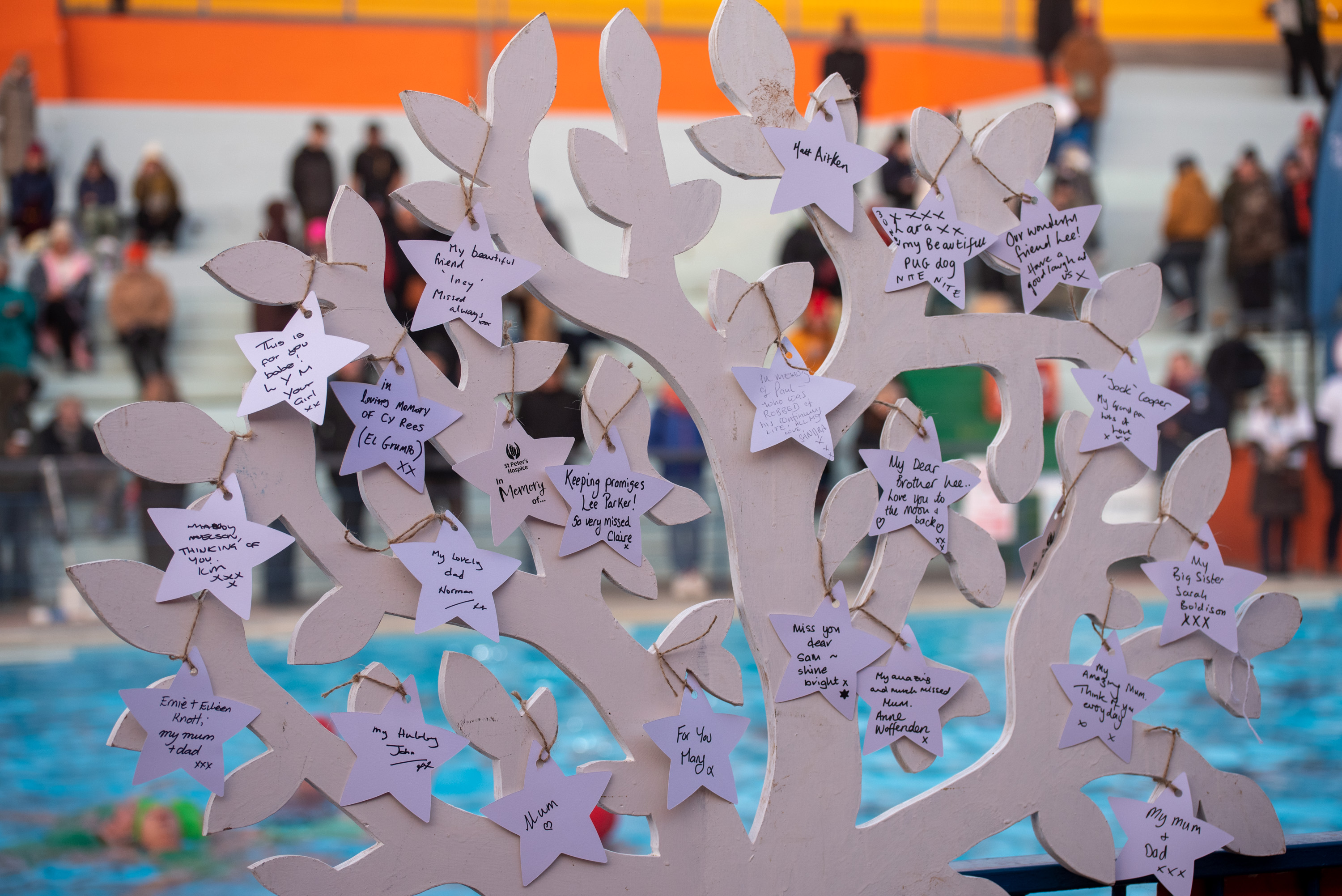 Photo Gallery - Cold Water Dip - St Peter's Hospice